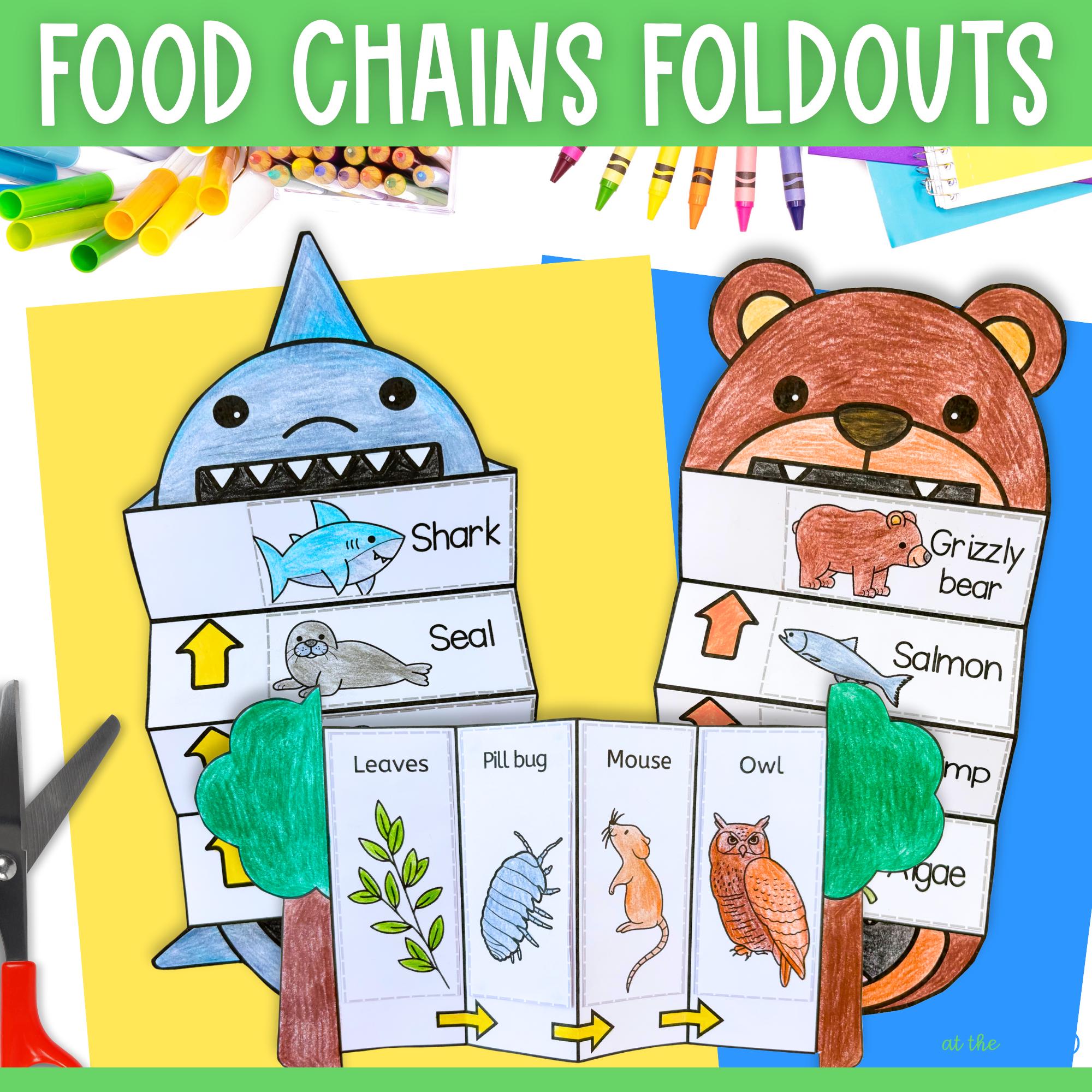 Make a Food Chain Foldable Activities PDF | A4 and 8.5x11 Inch ...