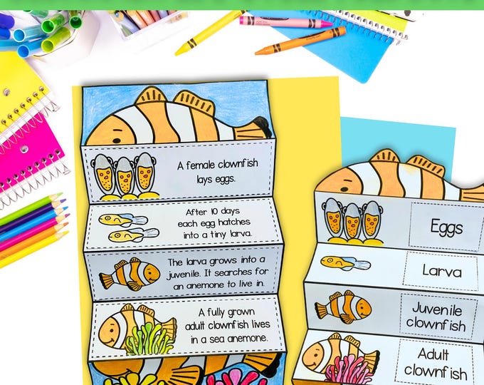 Foldable Dolphin Life Cycle Learning Activity for Kids | A4 and 11x8.5 ...