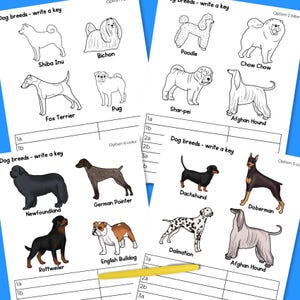 Dichotomous Keys Activities Worksheets for Elementary or Primary ...