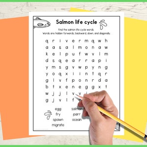 Life Cycle of a Salmon Fish Foldable Science Activity and Vocabulary ...