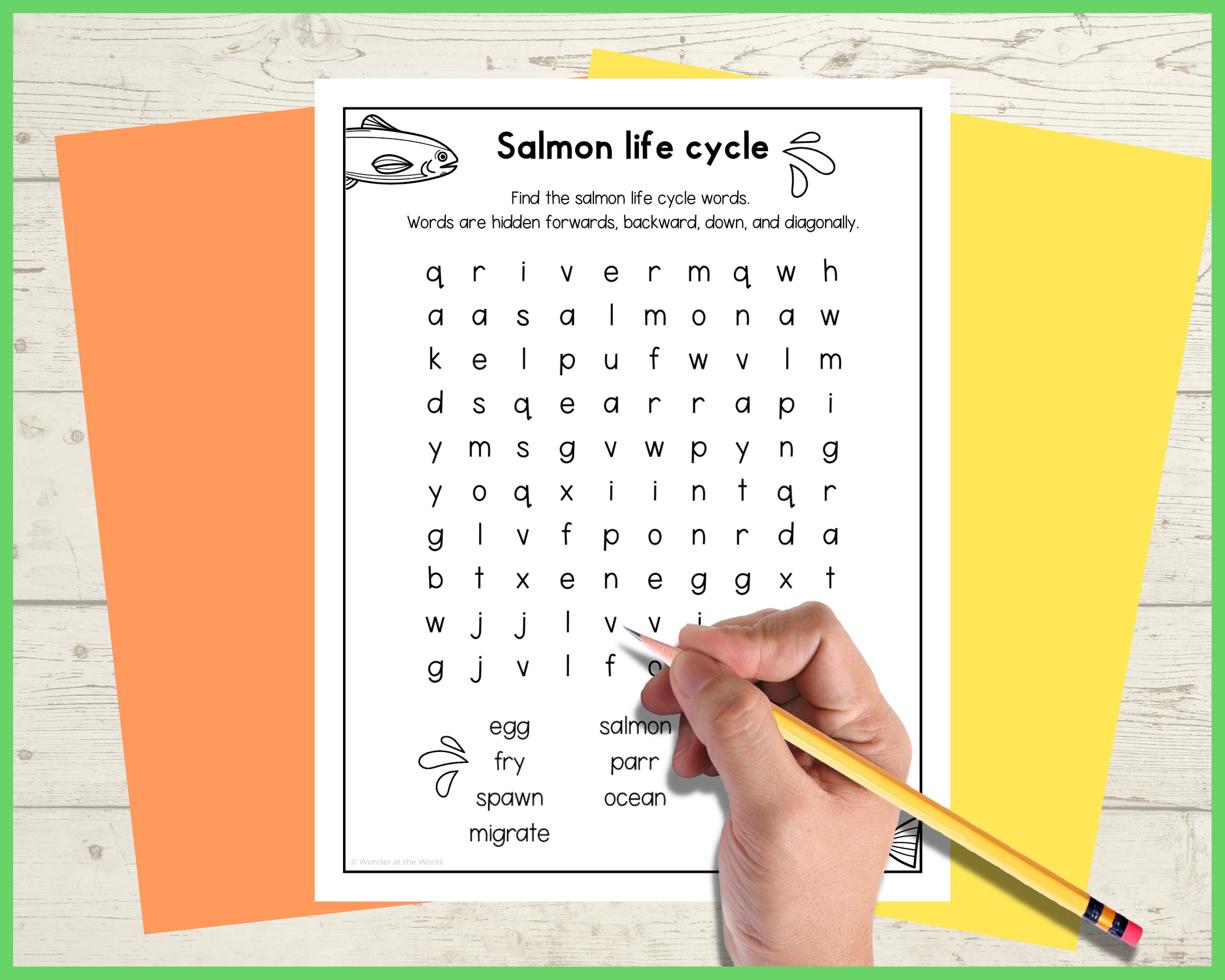 Life Cycle of a Salmon Fish Foldable Science Activity and Vocabulary ...