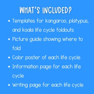 Australian Animals Mammals Life Cycle Foldout Science Learning ...