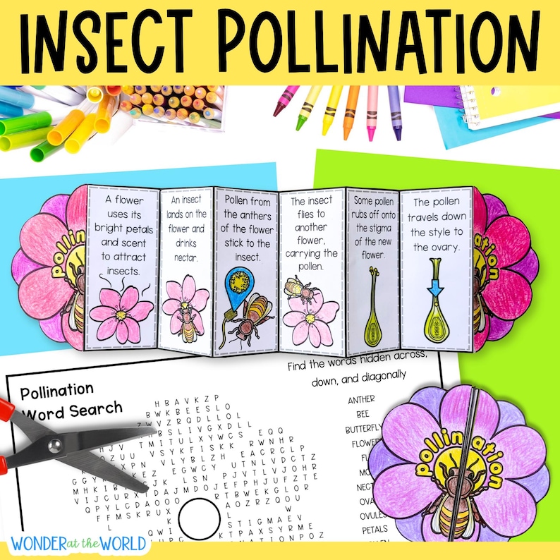 Stages of Insect Pollination Sequence and Fold Science Activity Cut ...