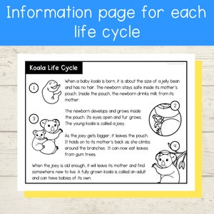 Australian Animals Mammals Life Cycle Foldout Science Learning ...