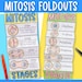 Mitosis Cell Division Foldable Cut and Paste Science Activity and ...