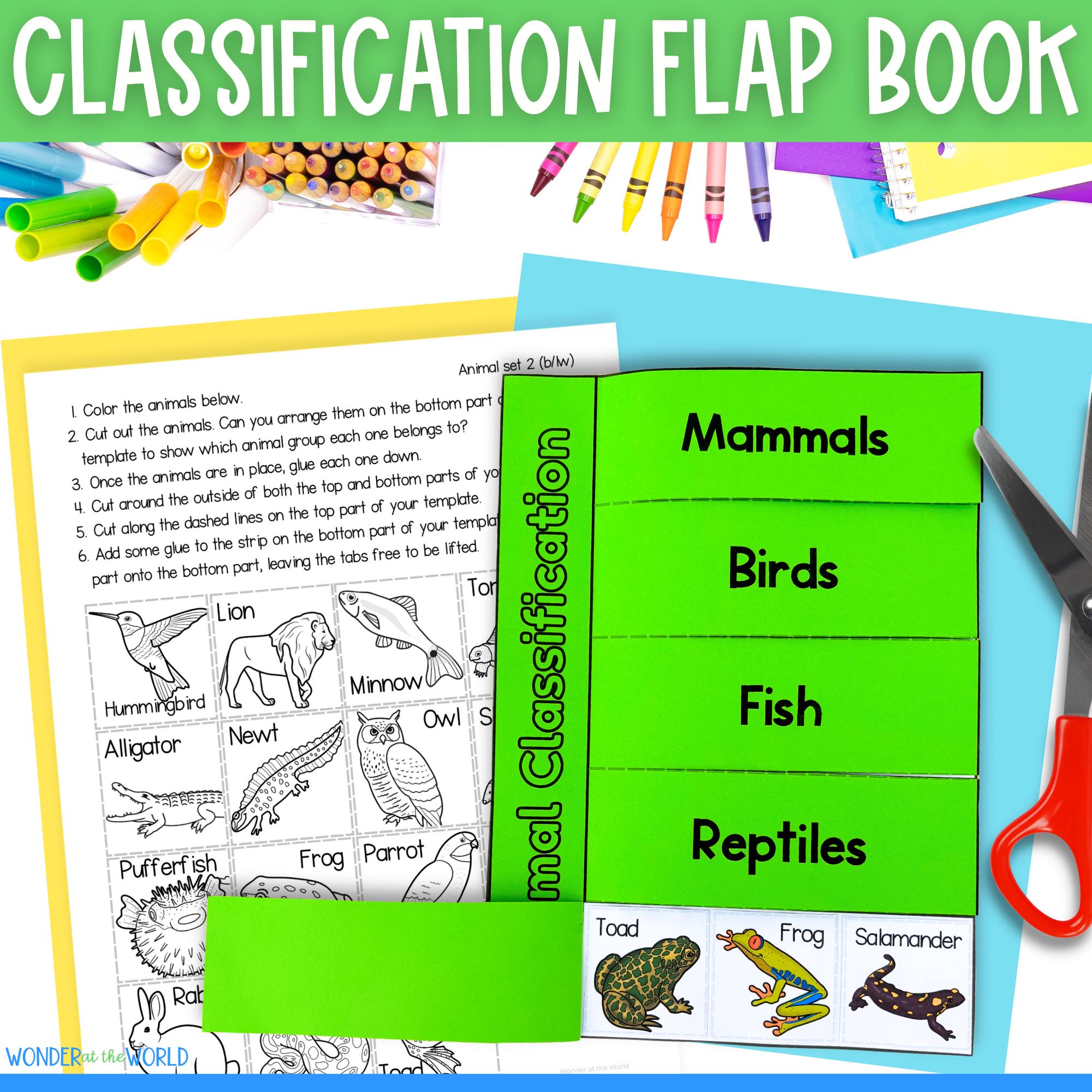 Animal Classification Sort Cut and Paste Lift the Flap Book Activity ...