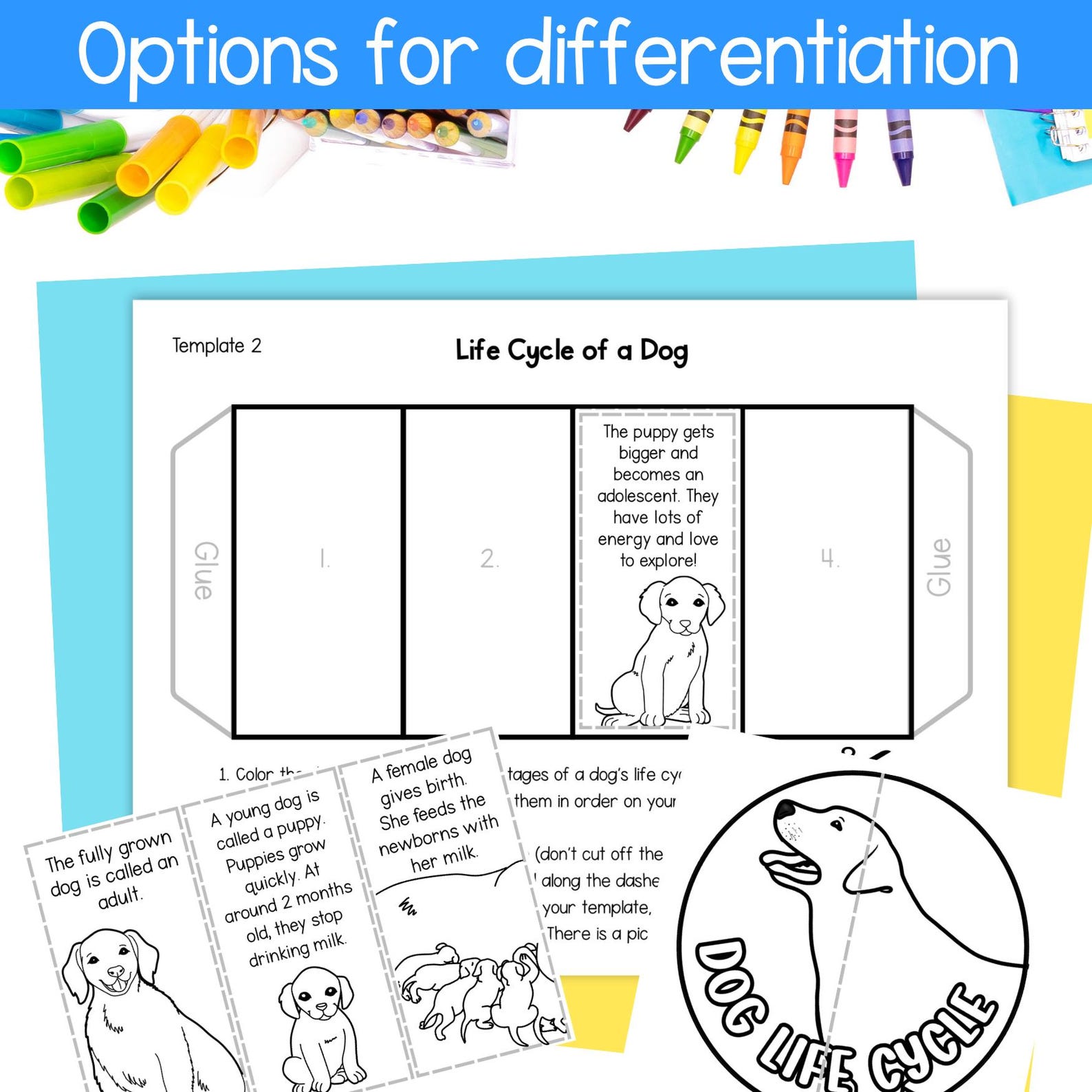 Life Cycle of a Dog Mammal Sequence and Fold Science Craft Activity ...