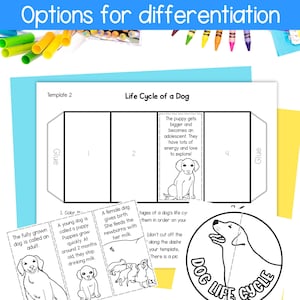 Life Cycle of a Dog Mammal Sequence and Fold Science Craft Activity ...