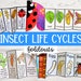 Plants Life Cycles Foldable Science Activities Apple Pumpkin - Etsy UK