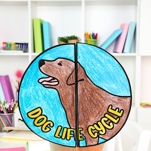 Life Cycle of a Dog Mammal Sequence and Fold Science Craft Activity ...