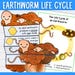 Life Cycle of a Pumpkin Spinner Wheel Sequencing Activity Fall Science ...