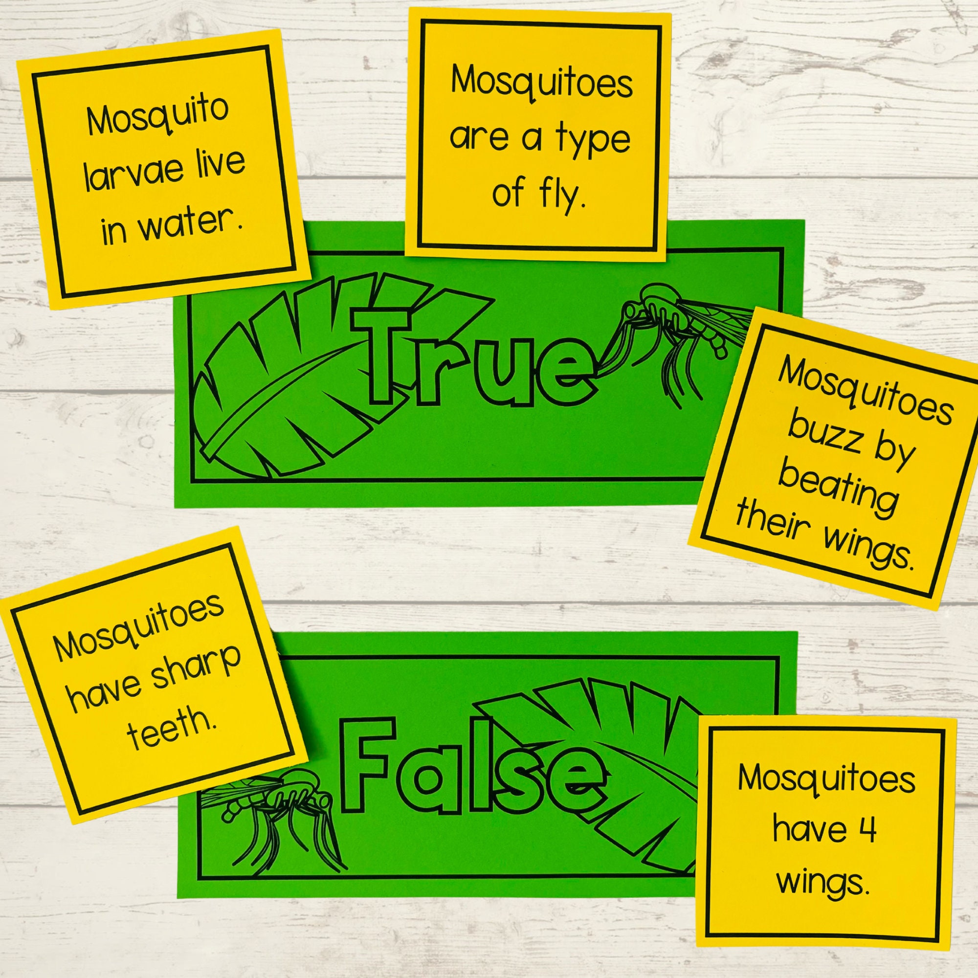 Life Cycle of a Mosquito Insect Foldable Sequencing Activity Cut and ...