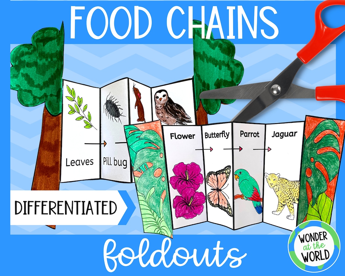 Food Chains Foldable Activity for Kids A4 and 11x8.5 Inch Digital ...