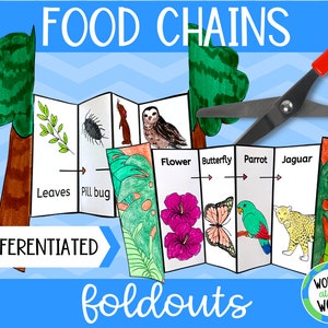 Food Chains Foldable Activity for Kids A4 and 11x8.5 Inch Digital ...
