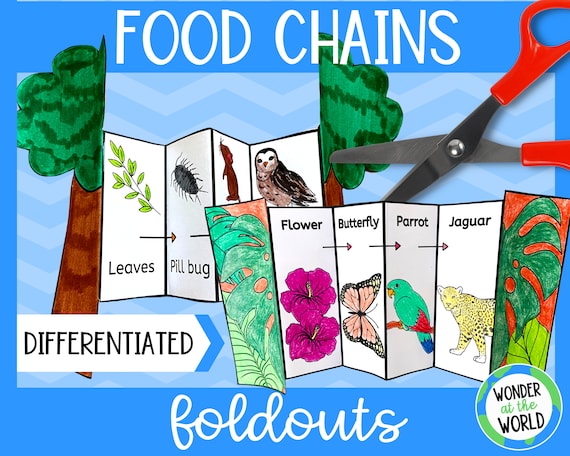 Food Chains Foldable Activity for Kids A4 and 11x8.5 Inch - Etsy Ireland