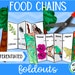 Food Chains Foldable Activity for Kids A4 and 11x8.5 Inch Digital ...
