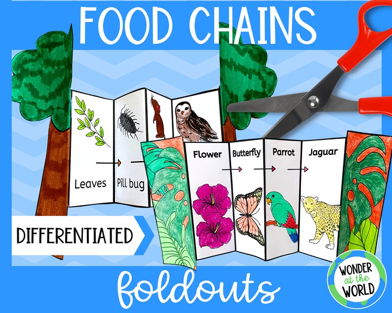 Food Chains Foldable Activity for Kids A4 and 11x8.5 Inch - Etsy