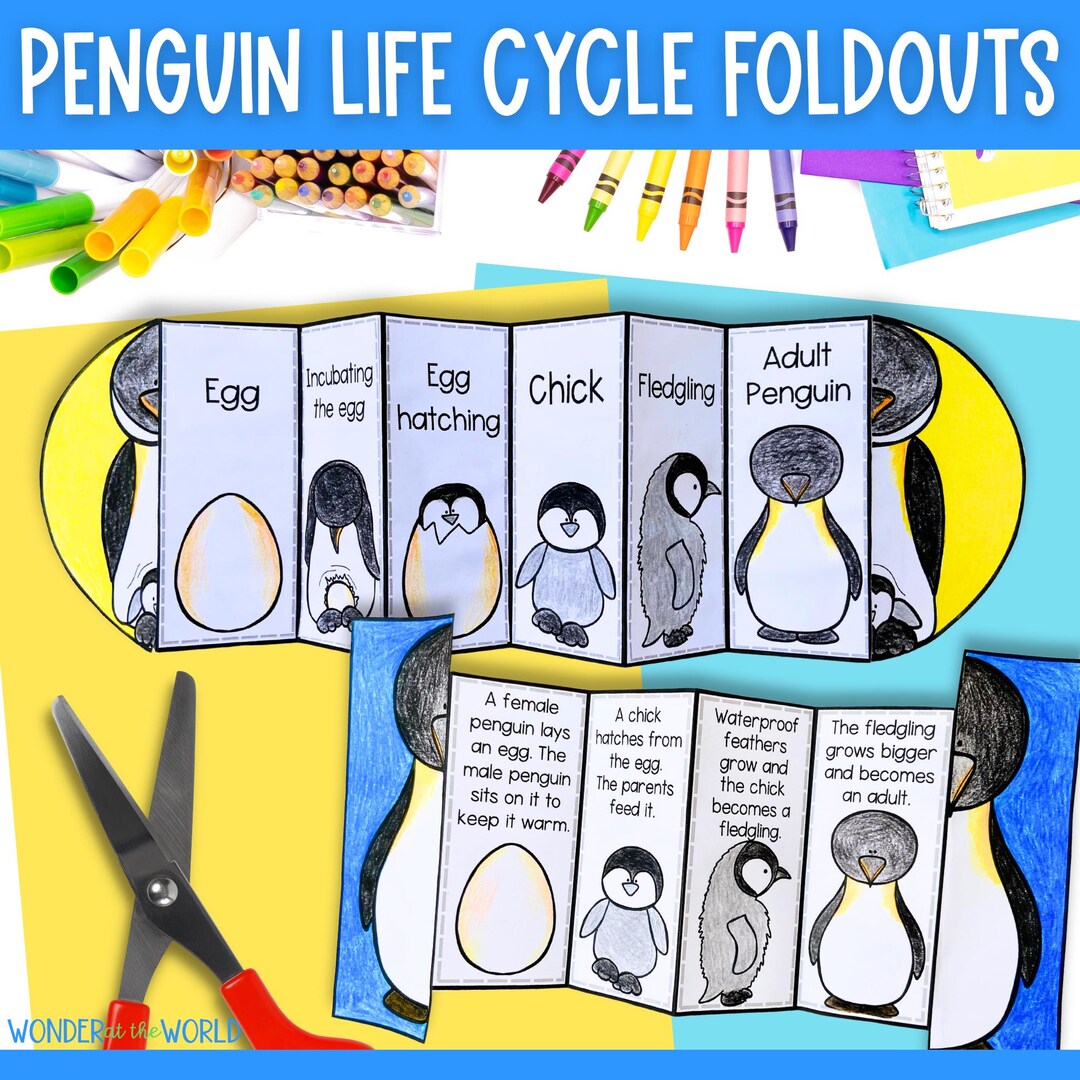 Life Cycle of a Penguin Foldable Kids' Craft Activity | A4 and 11x8.5 ...