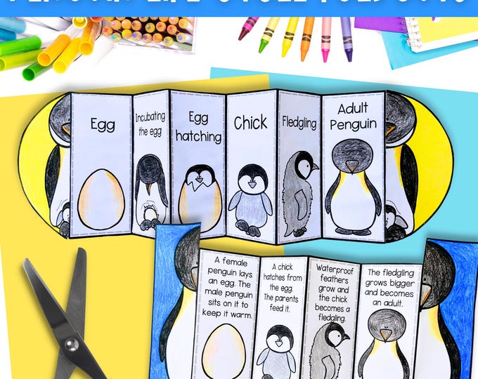 Foldable Penguin Life Cycle Learning Activity for Kids | A4 and 11x8.5 ...