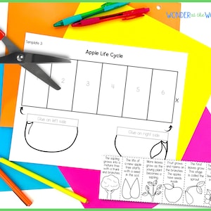 Life Cycle of an Apple Tree Foldable Activity for Kids Printable A4 and ...