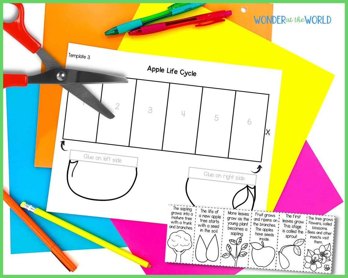 Plants Life Cycles Foldable Science Activities Apple Pumpkin - Etsy