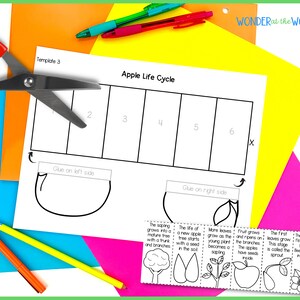 Plants Life Cycles Foldable Science Activities | Apple Pumpkin ...