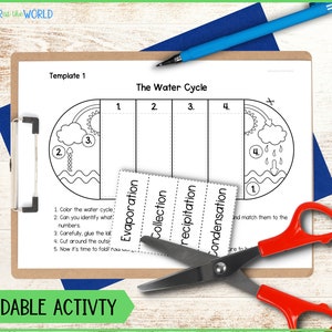 The Water Cycle Foldable Cut and Paste Activity and Presentation for ...