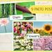 Plants Science Display for Classroom | Bulletin Board Display | Plant ...