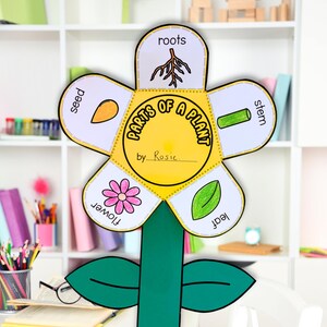 Parts of a Plant Science Craft Activity and Worksheet for Kindergarten ...