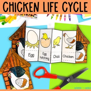 Life Cycle of a Chicken Foldable Kids' Craft Activity A4 and 11x8.5 ...