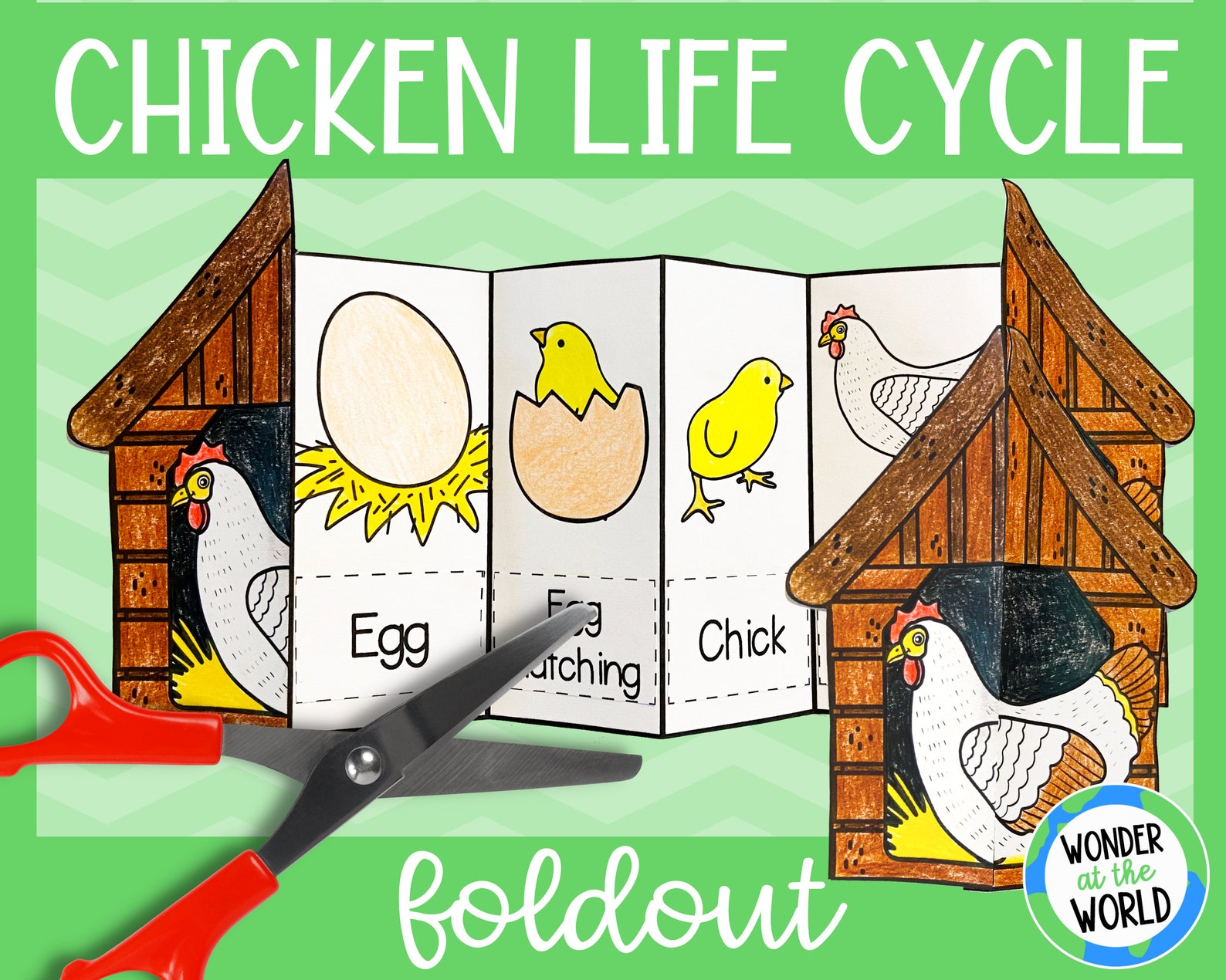 Life Cycle of a Chicken Foldable Kids' Craft A4 and - Etsy