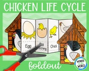 Life Cycle of a Bean Plant Foldable Kids' Craft Science Activity A4 and ...