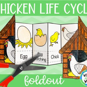 Life Cycle of a Chicken Foldable Kids' Craft A4 and 11x8.5 Inch Digital ...
