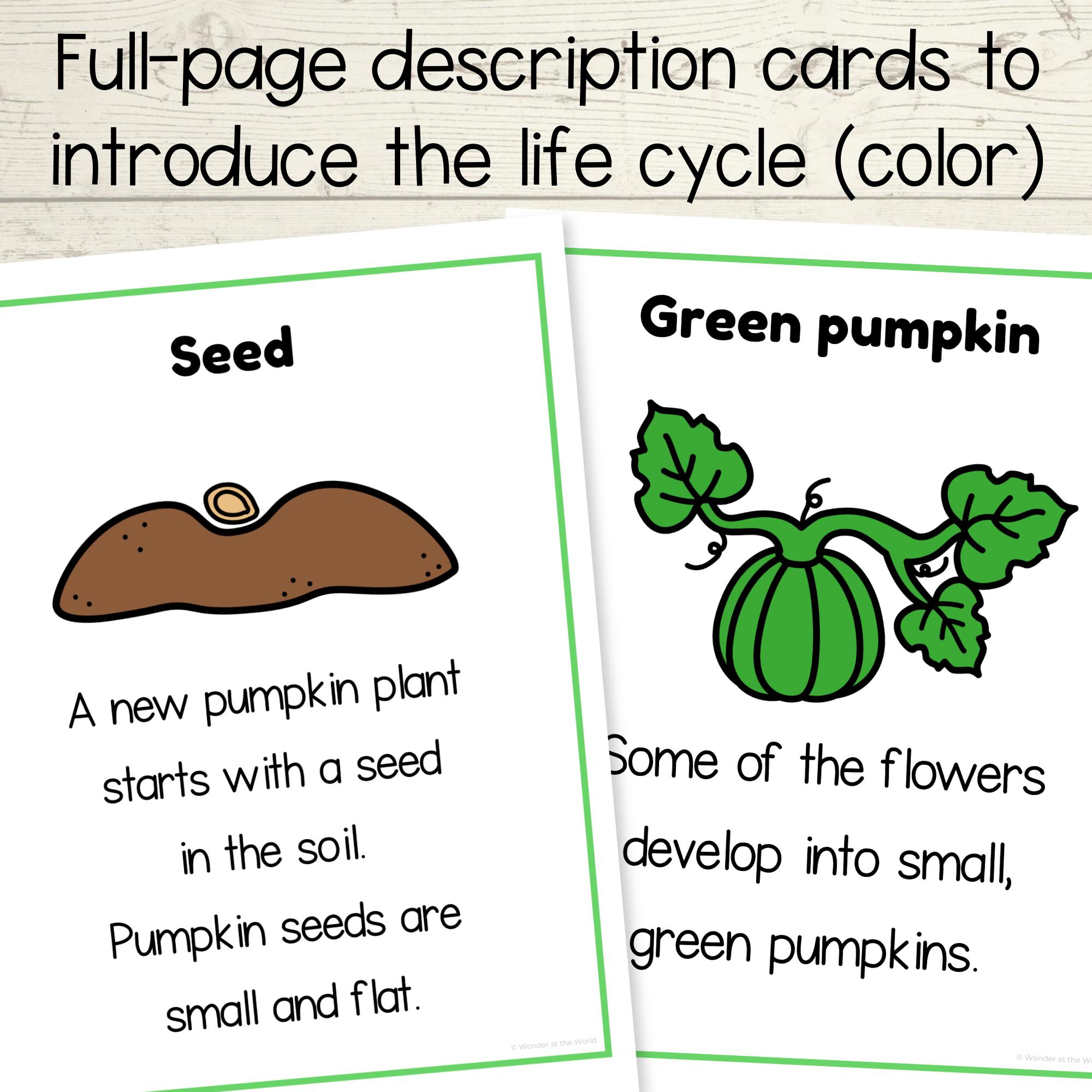 Pumpkin and Apple Tree Plant Life Cycle Spinner Wheels Autumn Fall ...