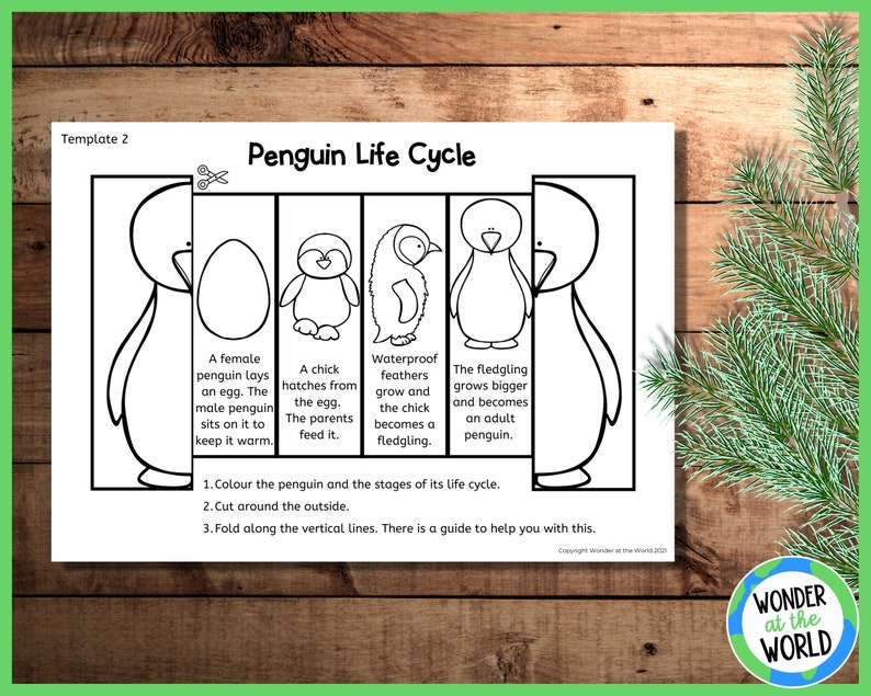 Life Cycle of a Penguin Foldable Kids' Craft A4 and - Etsy