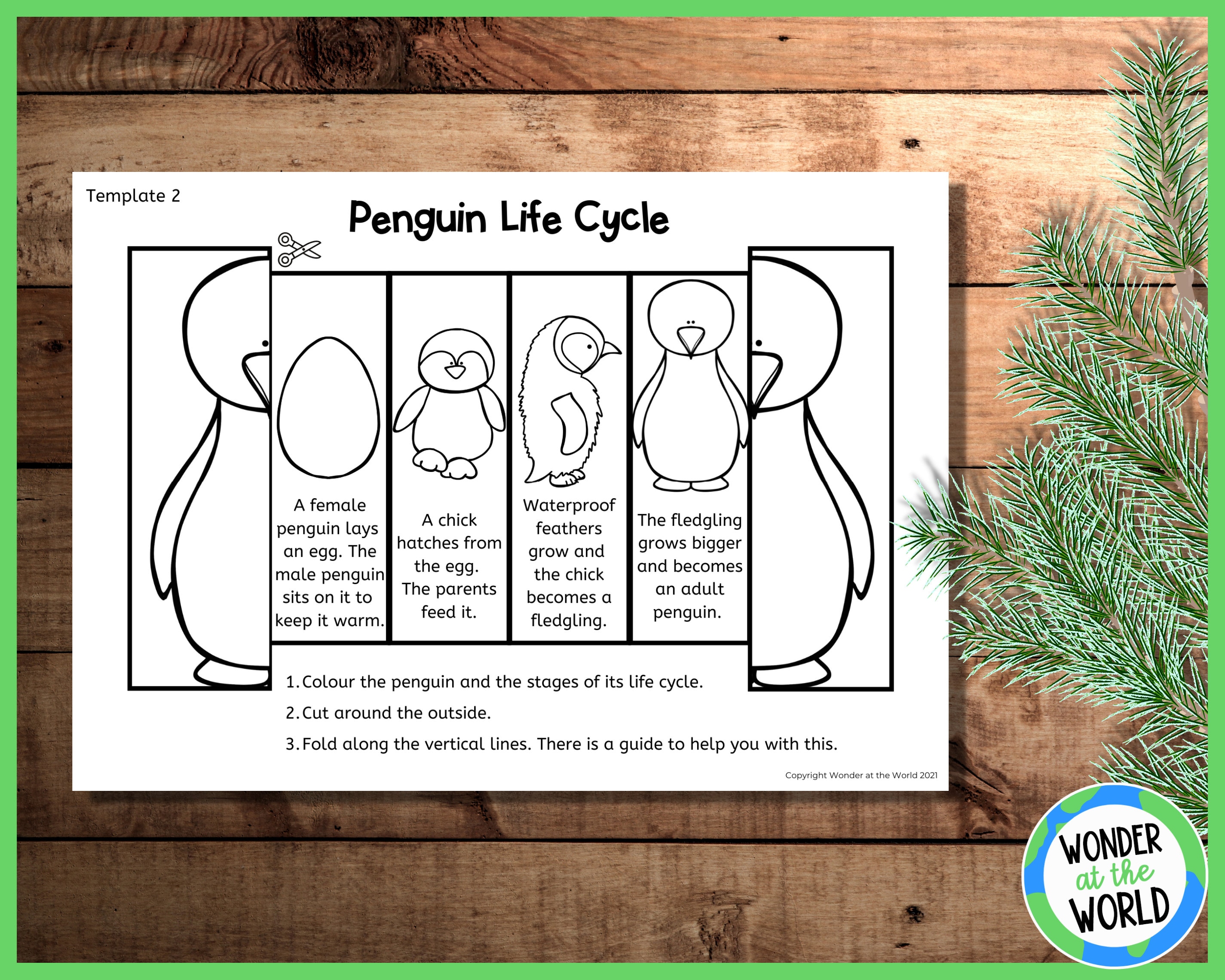 Life Cycle of a Penguin Foldable Kids' Craft A4 and - Etsy UK