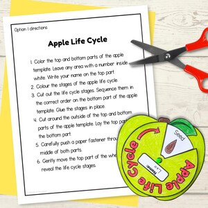 Pumpkin and Apple Tree Plant Life Cycle Spinner Wheels Autumn Fall ...