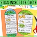 Life Cycle and Parts of a Stick Insect Cut and Paste Science Activities ...