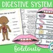 The Digestive System Foldable Kids' Activity A4 and - Etsy