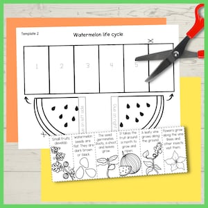Life Cycles of Edible Plants Sequence and Fold Science Craft Activities ...