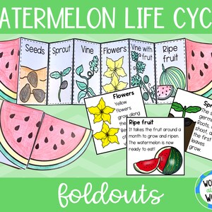 Life Cycle of a Watermelon Plant Foldable Kids' Craft A4 - Etsy