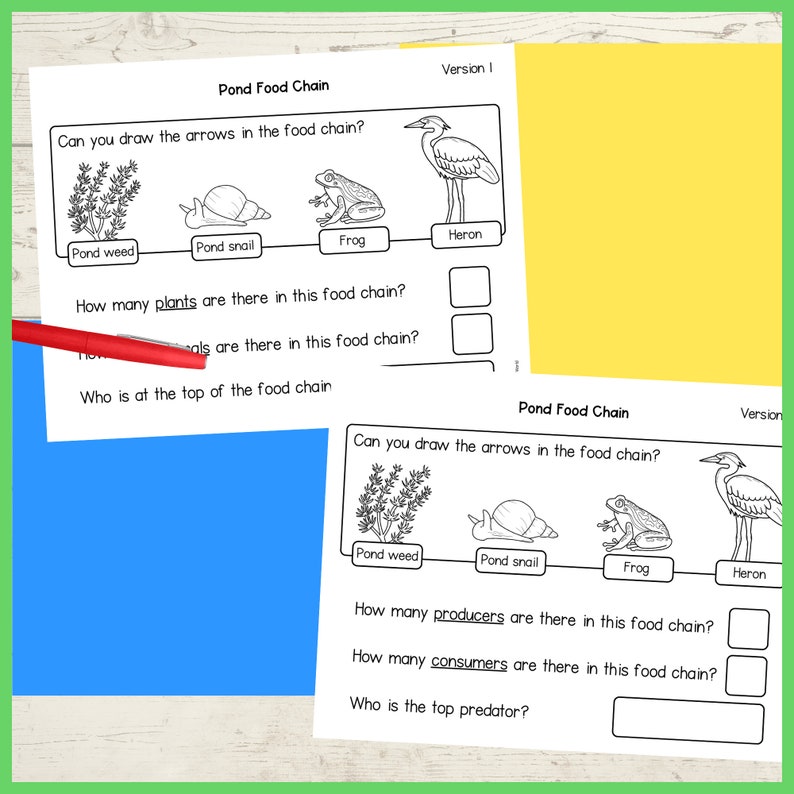 Food Chains Printable Worksheets and Clothesline Activity PDF Digital ...