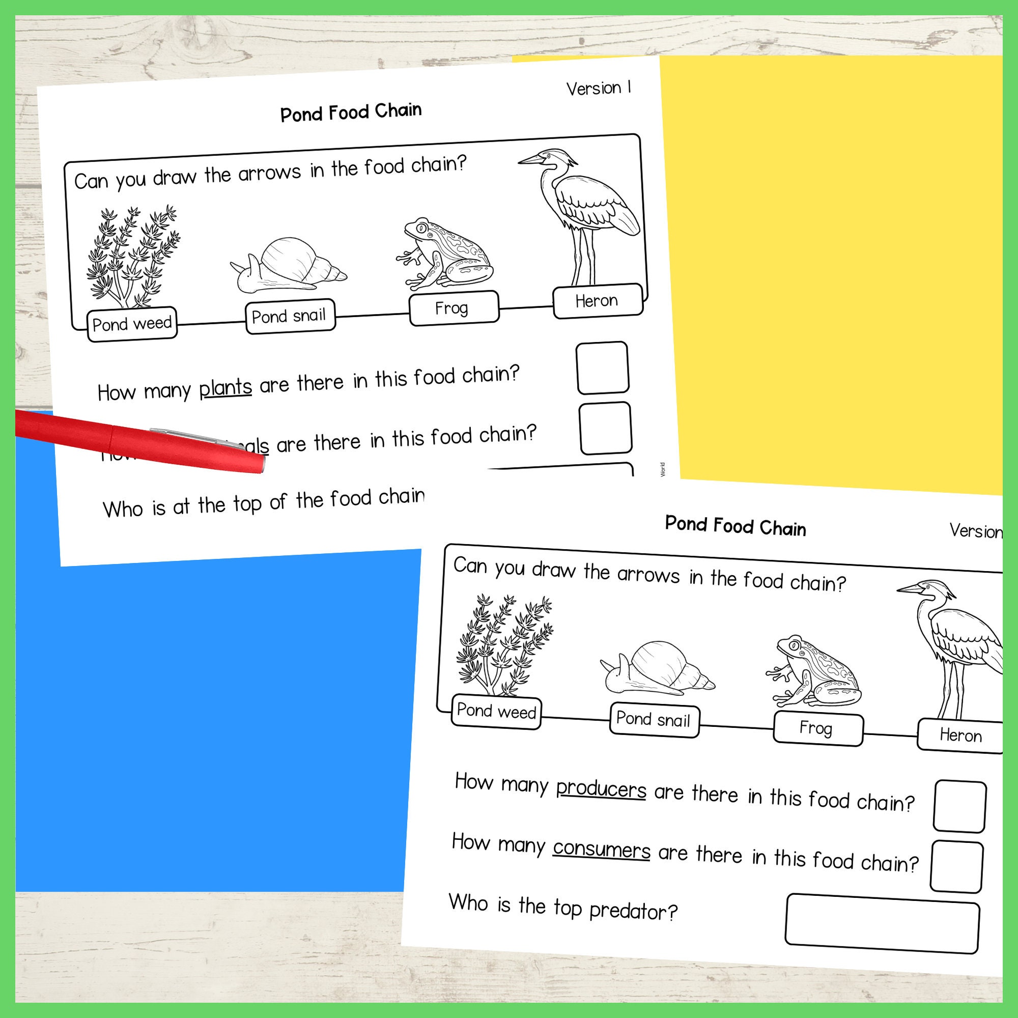 Food Chains Printable Worksheets and Clothesline Activity PDF Digital ...