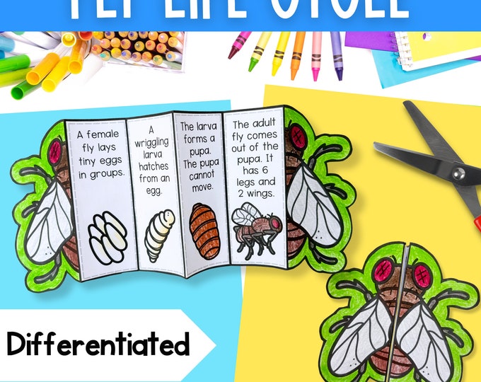 Life Cycle of a Fly Foldable Insect Activity Cut and Paste Science ...