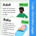 Human Life Cycle Sequence and Fold Activity for Kids | Printable US ...