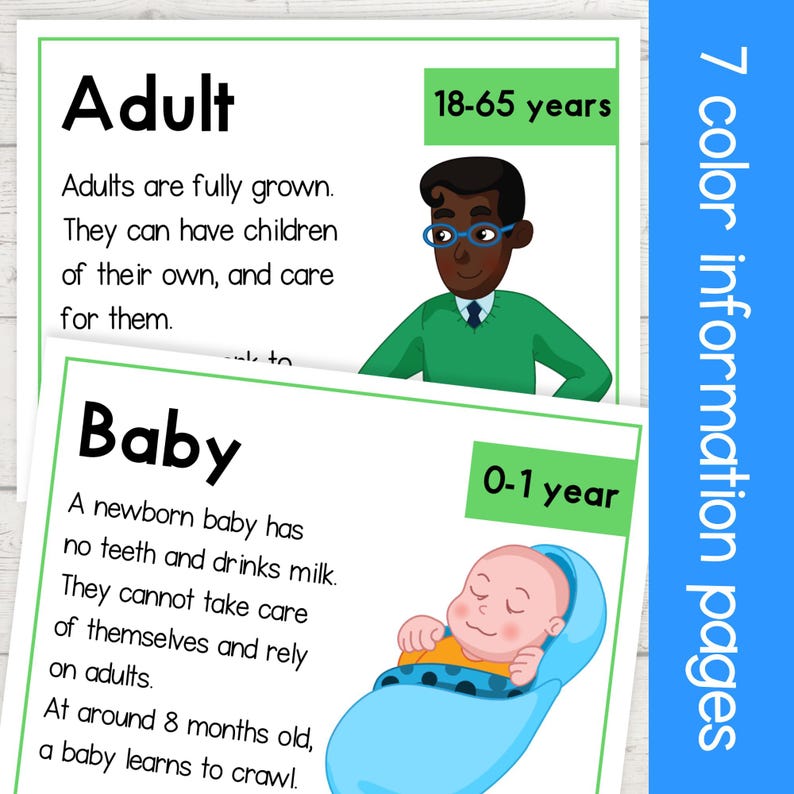 Human life cycle sequence and fold activity for kids | printable US ...