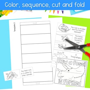 How a Fossil is Formed Foldable Sequencing Activity PDF for Dinosaur ...