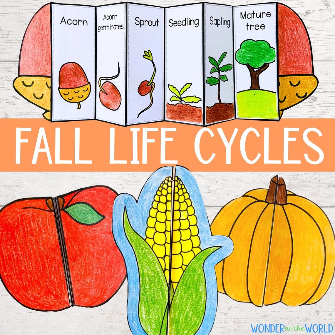 Fall Autumn Plant Life Cycles Foldable Science Activities - Etsy UK