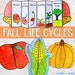 Fall Autumn Plant Life Cycles Foldable Science Activities - Etsy UK