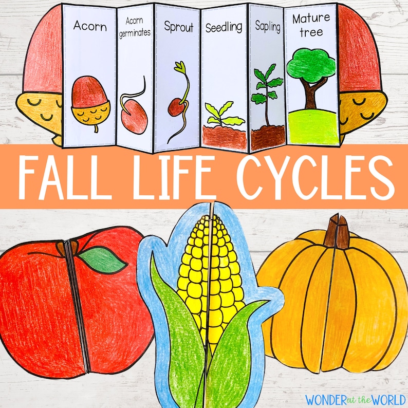 Fall Autumn Plant Life Cycles Foldable Science Activities - Etsy UK